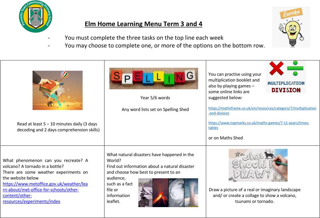 Welcome to Elm Class – Punnetts Town Community Primary School